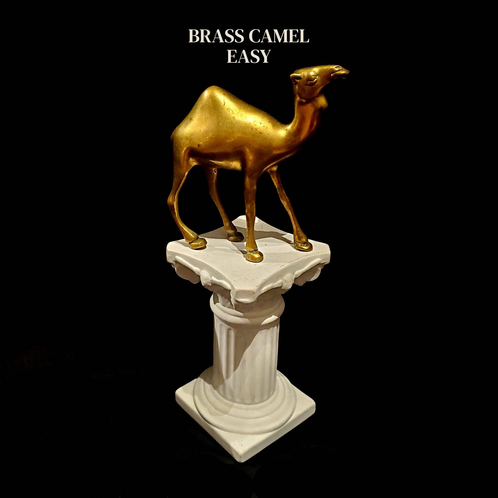 Brass Camel Mash Genres with Whirling Maelstrom of Sound Across Debut ...