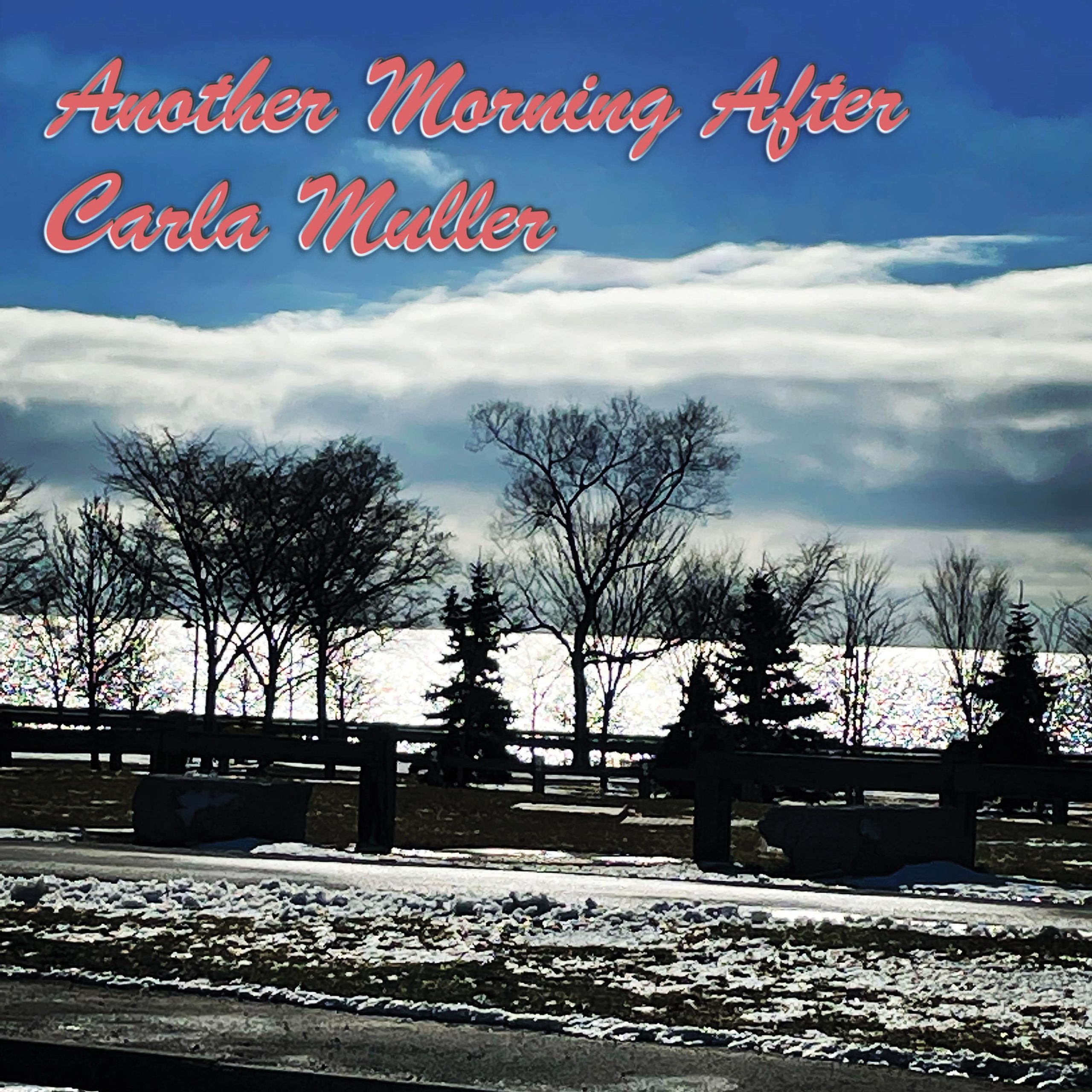 Folk Artist Carla Muller Celebrates Life’s Breathtaking Moments with ...